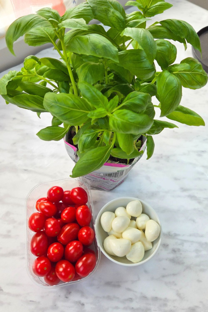 Mini Caprese Skewers Recipe – A Fresh and Fun Appetizer